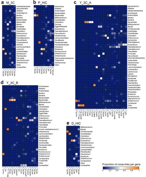 Heatmap Showing Antimicrobial Resistance Genes Args Linked With Their