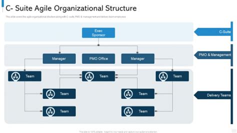 Agile Org Chart It C Suite Agile Organizational Structure Structure Pdf