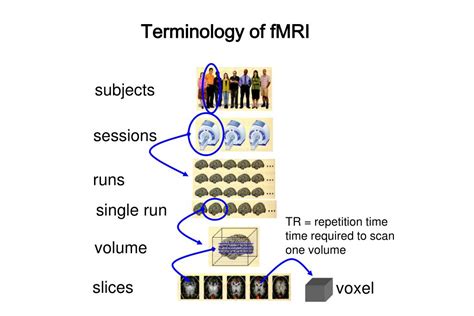 PPT Spatial Preprocessing Of FMRI Data PowerPoint Presentation Free Download ID