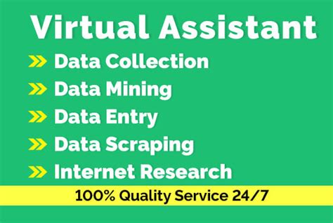 be an ideal virtual assistant data entry data mining by faizanteam