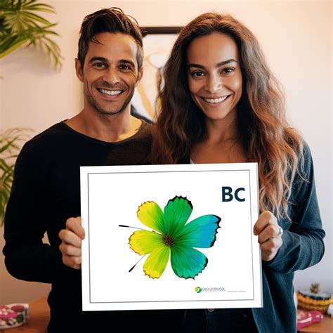 Curso De Uma Introdução Abrangente à Máquina Virtual Java Jvm