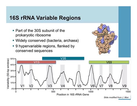 Introduction To 16s Microbiome Analysis Pdf