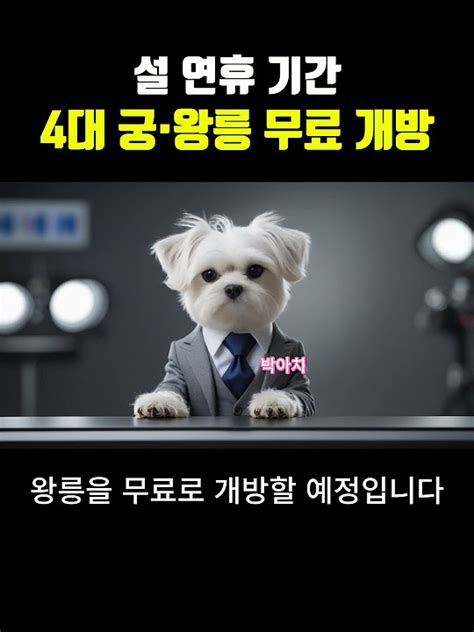 설 연휴 기간 4대 궁·왕릉 무료 개방 Youtube