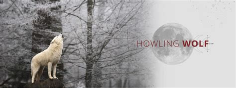 Why Do Wolves Howl Wolf Stuff