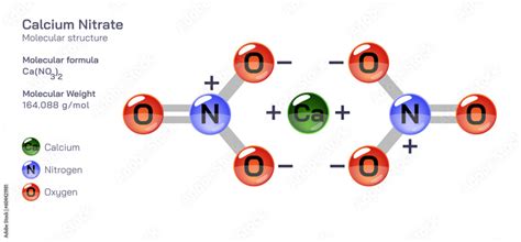 Calcium Nitrate Molecular Structure Formula Periodic Table Structural Molecular Formula Vector