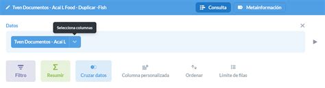 Does Not Maintain The Model Scheme By Duplicating Bug Reports Metabase Discussion