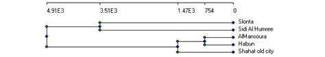 Dendrogramme The Variation In The Number Of Plants Per Species The Site