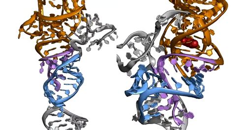 Dibs On A Rna Computer The Health Care Blog