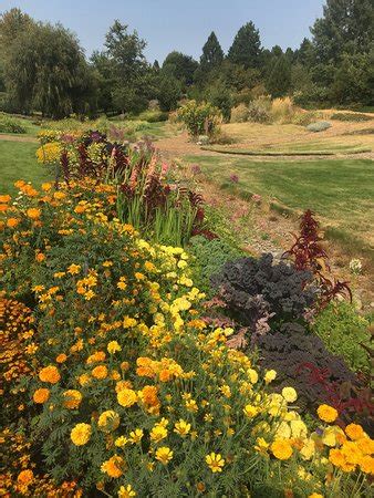 University Of Idaho Arboretum And Botanical Garden Moscow 2020 All
