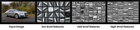 Different Levels Of Learned Features Download Scientific Diagram