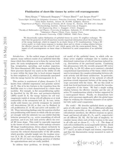 Pdf Fluidization Of Sheet Like Tissues By Active Cell Rearrangements