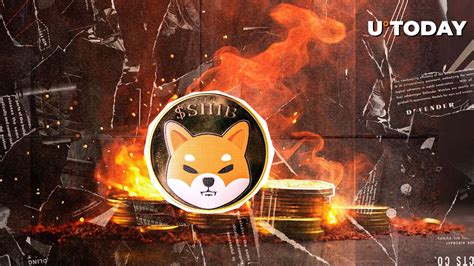 Shiba Inu Skyrockets 847 In Burn Rate As 31010900 Shib Vanishes
