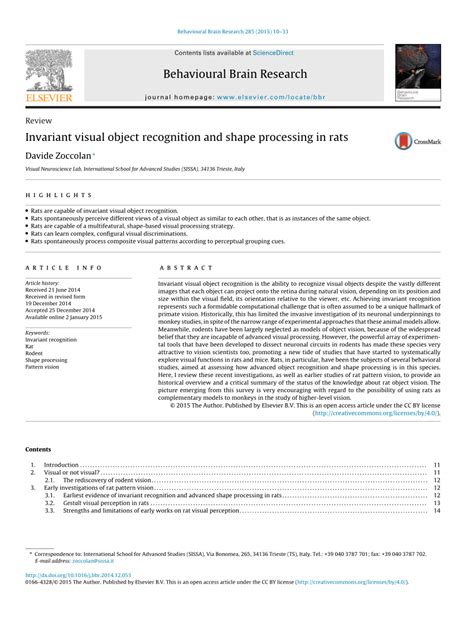 Pdf Invariant Visual Object Recognition And Shape Processing In Rats