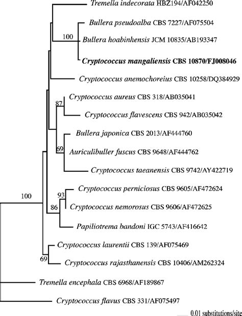 Phylogenetic Tree Likelihood Analysis With Heuristic Search And Download Scientific Diagram