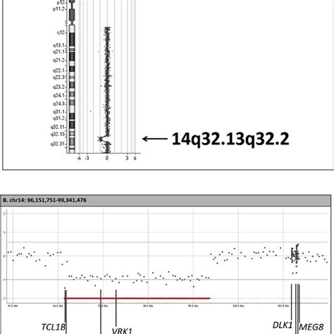 Array Comparative Genomic Hybridization Analysis On The Dna Extracted Download Scientific