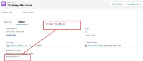 Salesforce Rich Text Field