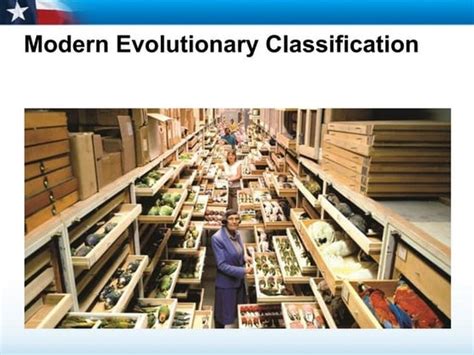 Classification And Taxonomy Pptx Biological Sciences Science