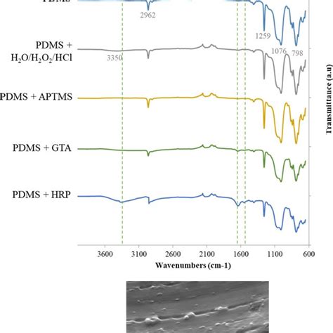 Atr−ftir Spectra Of Pure Pdms And Hpr And Hybrid Pdms Films Scanning