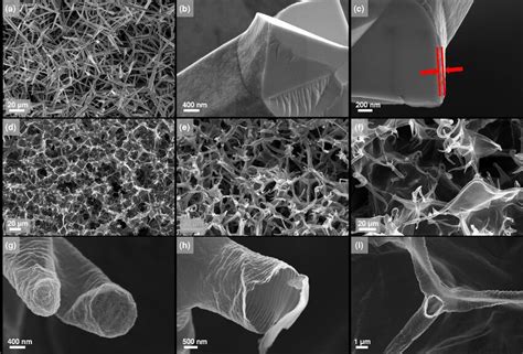Fig S3 Sem Micrographs Highlighting The Morphology Of T Zno Download Scientific Diagram
