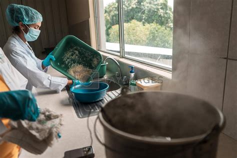 Latin Women Scientists With Protective Equipment Develop Trichoderma Type Fungi To Combat Pests