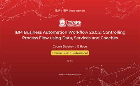 Ibm Business Automation Workflow 23 0 2 Controlling Process Flow Using Data Services And