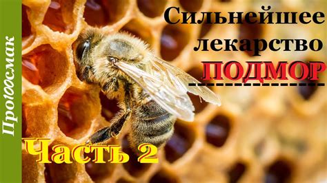 Сильнейшее лекарство ПЧЕЛИНЫЙ ПОДМОР. Польза мертвых пчел - YouTube