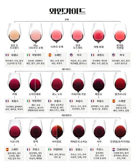 딸랑이의 세상만사 와인 가이드 로제 And 레드 와인
