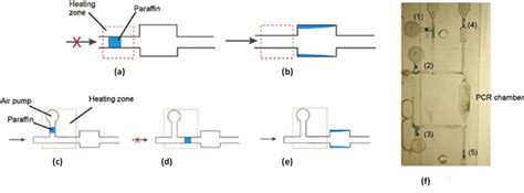 Schematic Illustrations Of A Close−open Paraffin Microvalve Design Download Scientific Diagram