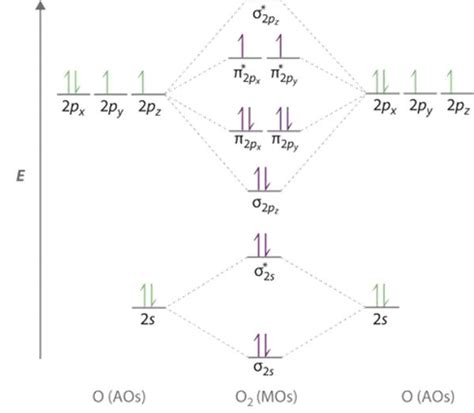 O Molecular Orbital Diagram Bond Order