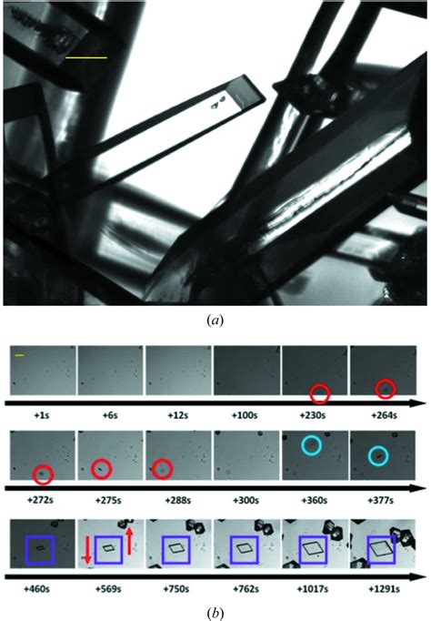 Iucr A New Experimental Setup For High Throughput Controlled Non Photochemical Laser Induced