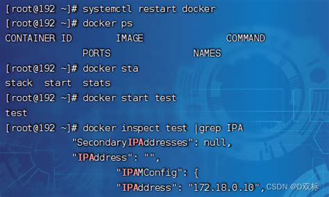 给docker配置指定ip Docker Ip Csdn博客