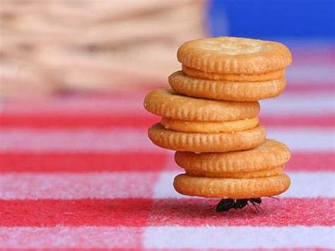 Peduli Sahabat Ssa Same Sex Attraction Di Indonesiapptx