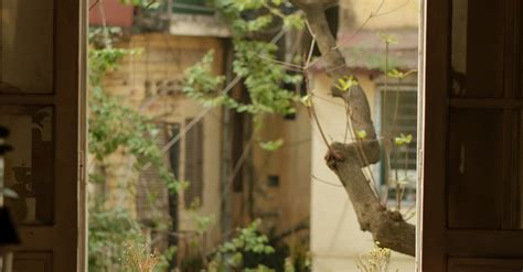 가구 거주 공간 건물 건축 경치 경치가 좋은 고요한 나무 녹지 도시 도시의 러스틱 매력적인 목재 가구 문 문호 개방 발코니 빈티지 수직 쐈어