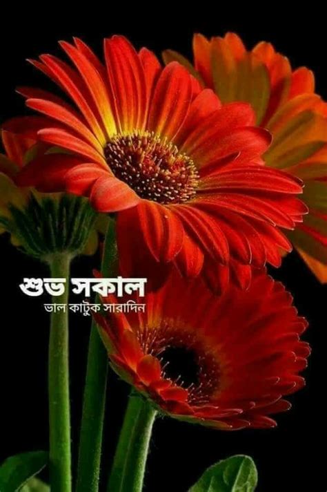 গ্রাম উন্নয়ন যুব সংগঠন সবাইকে ইংরেজি নতুন বছরের শুভেচ্ছা ২০১৮ Facebook