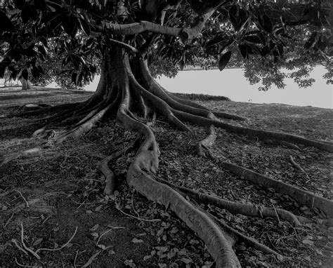 Fault Tree Analysis Fta Guide Process Symbols And Examples