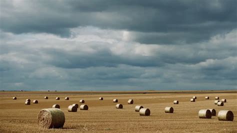 What Is A Buffer Zone In Agriculture Agruculture Lore
