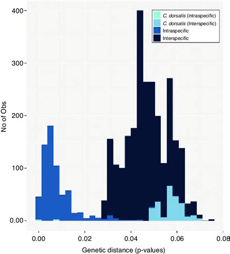 Pairwise Distance Values For Divergence Within The Genus Ctenomys