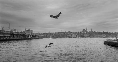 Verdzeuli სტამბოლი ფართე კუთხით