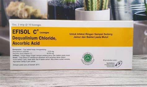 Efisol C Tablet Efektif Untuk Mengatasi Infeksi Mulut Elza Dwisyah