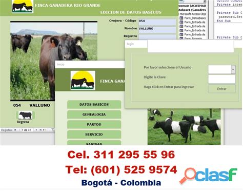 Clases Cursos Asesorías Capacitación En Base De Datos Microsoft Access A Nivel En Bogotá