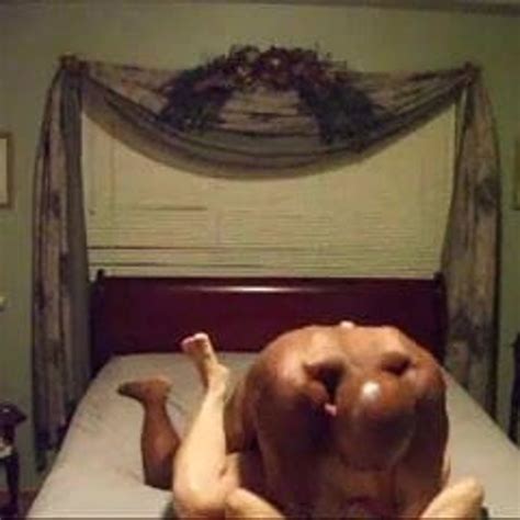 One From The Master Himself Bazes Free Porn 99 Xhamster Xhamster