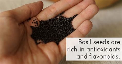 8 Health Benefits Of Basil Seeds That You Should Know About Scoopwhoop