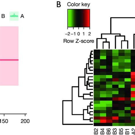 Survival Analysis And Mirna Chip Analysis A Kaplan Meier Curves Of