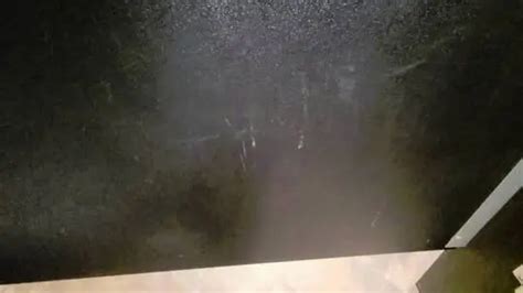 Proof Cum In A Public Restroom Stall Door Scrolller