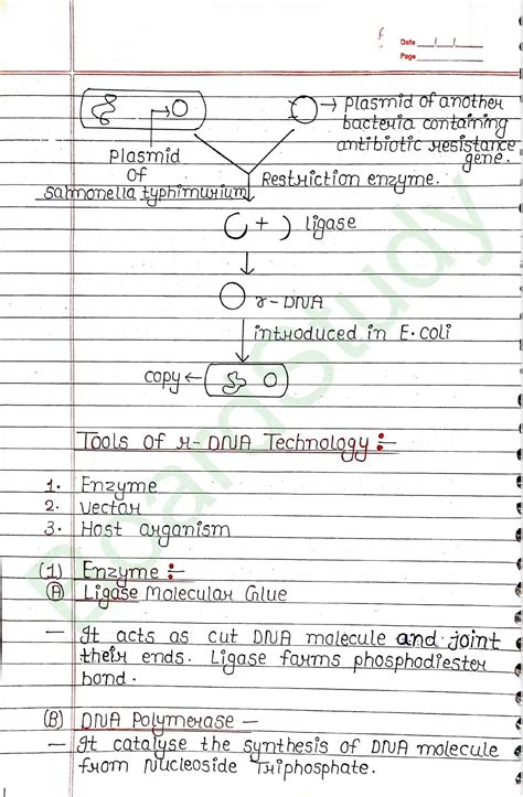Ncert Class 12 Biology Biotechnology Principles And Processes Notes Handwritten Notes And Pdf