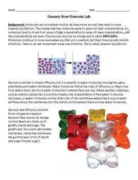 Osmosis Experiment With Gummy Bears