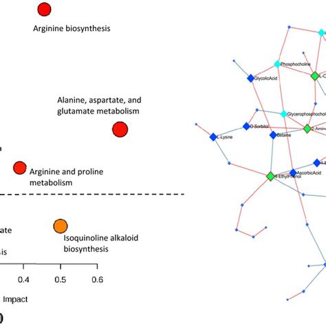 A Analysis Of Altered Metabolic Pathways Based On Distinguishing Download Scientific Diagram