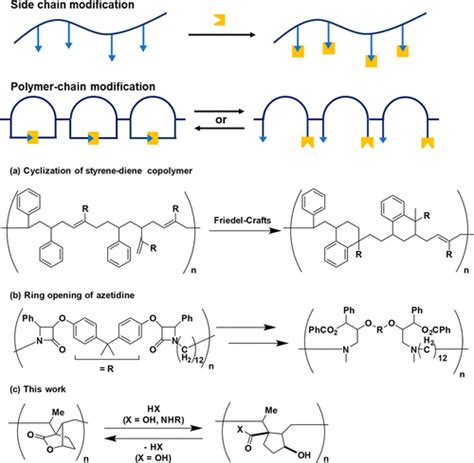 Polymer Chain Structure
