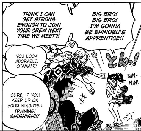 투디갤 원피스 루피랑 나미가 마음으로 키운 딸…