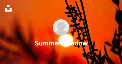 Summer Shadow Summer Shadow Unsplash Photo Community
